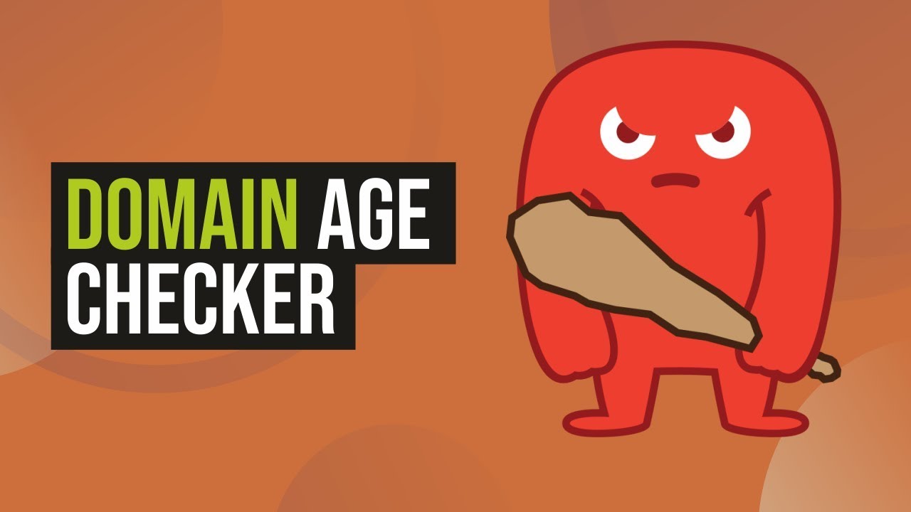 The HOTH: Domain Age Checker