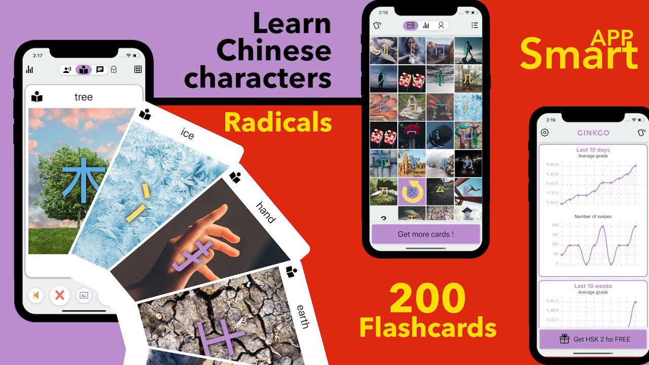 Discover the CHINESE alphabet with FLASHCARDS - Ginkgo Chinese Radicals APP preview