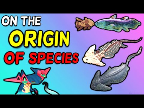 Investigating the Inspirations Behind Pokémon