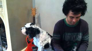 Rockin' Pets: 16 Rockstars and Their Pets | Ultimate Guitar