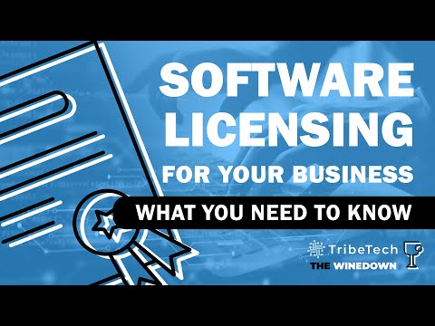 Software Licensing for Your Business