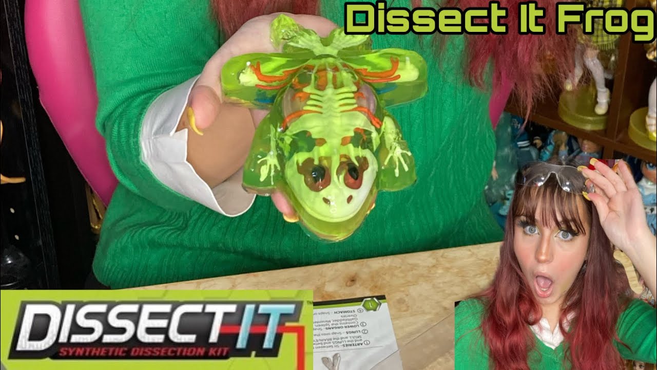Dissect It Frog Kit Synthetic Dissection Kit!