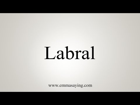 How To Say Labral