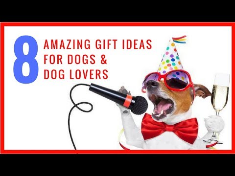 8 Amazing Gift Ideas for DOGS & DOG LOVERS!
