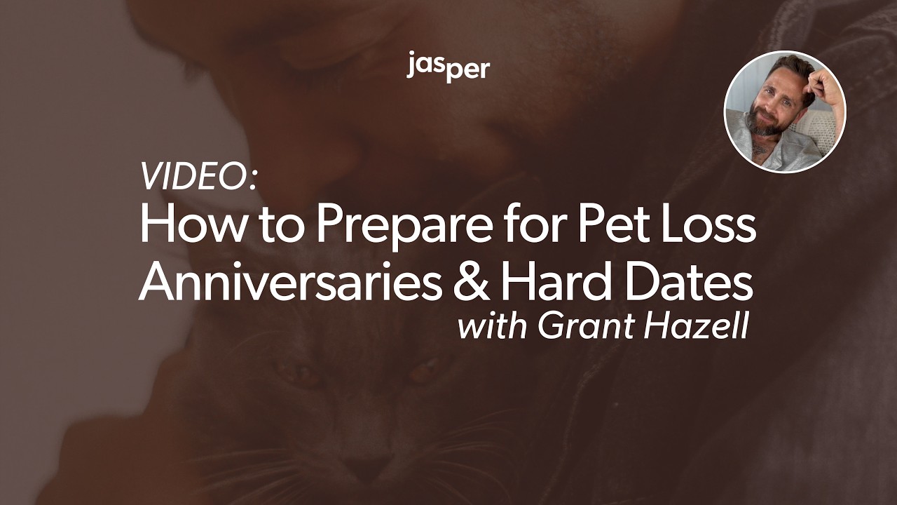 How to Get Through Pet Loss Anniversaries and Hard Dates | Grant Hazell