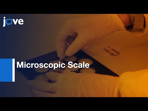 Microscopic Scale Acutation Control and Fabrication | Protocol Preview