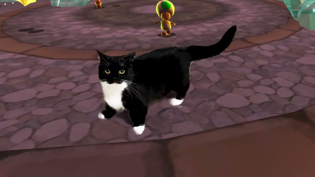 Uni in Super Mario Galaxy  [preview]