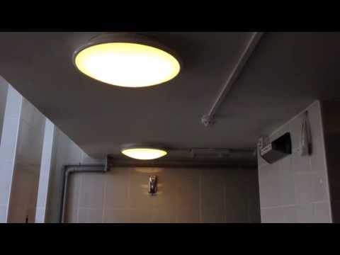 UTILITECH Globe Lights