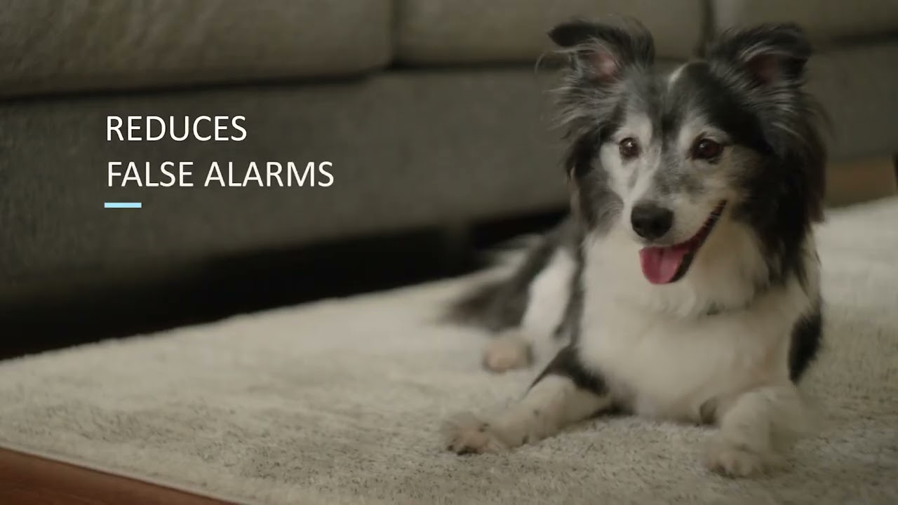 False Alarms? Not Anymore.