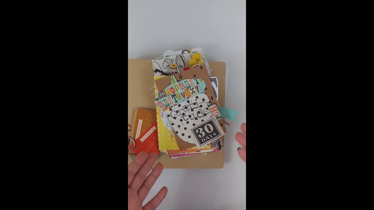 Gratitude Documented 2016-2017 | Flip-Through