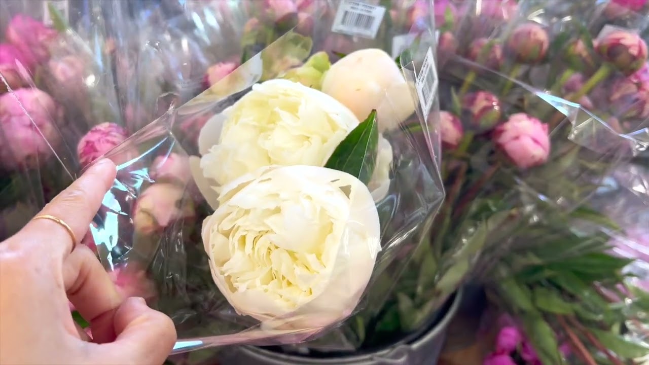 Trader Joe's - Fresh Cut Flowers & Plants