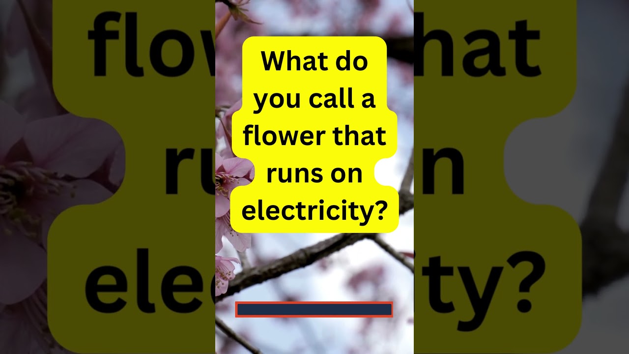 The Garden Riddle Challenge: Fun and Challenging Brain Teasers