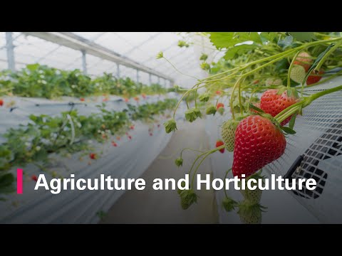 Agriculture and Horticulture at Brackenhurst | Nottingham Trent University