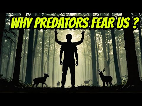 Why Most Predators Fear Humans Instinctively?
