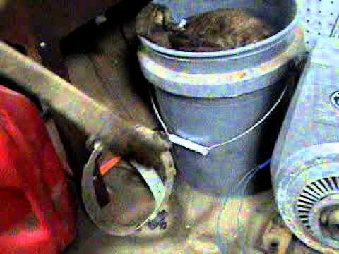 Coot Industries “Red Baron” Go-Kart | Barn Finds