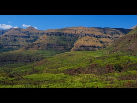 The beauty of the mountains - Grass green-House music