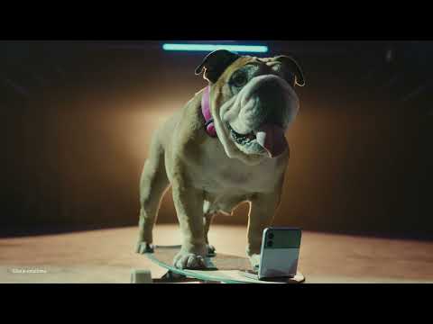 SAMSUNG I Galaxy Z Flip3: Neočekivano