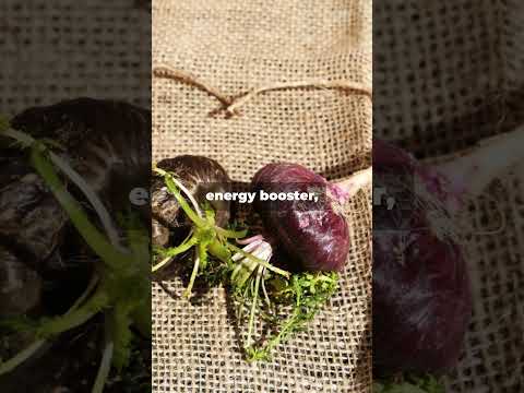 Unlock the Power of Adaptogenic Herbs!