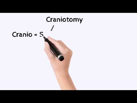 Meaning of Anatomy, Colotomy and Craniotomy.