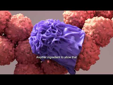 New Insights for Breast Cancer