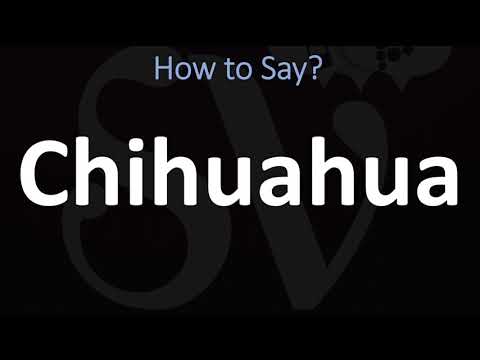 How to Pronounce Chihuahua? (CORRECTLY)