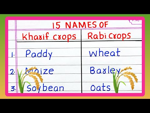 Names of KHARIF AND RABI CROPS | List of KHARIF AND RABI CROPS | 15 KHARIF CROPS RABI CROPS
