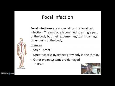 Patterns of Infection