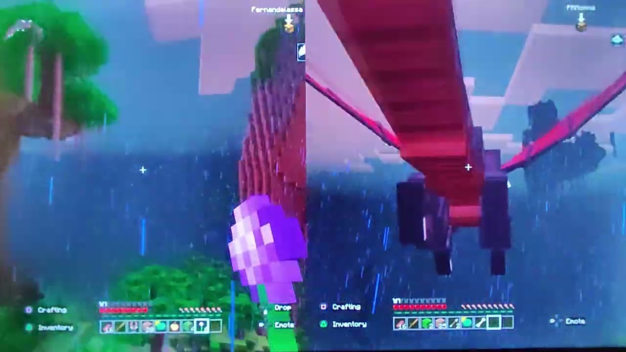 Brothers playing Minecraft 