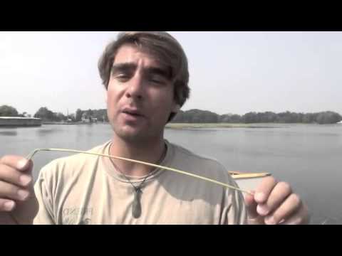 What is an estuary?