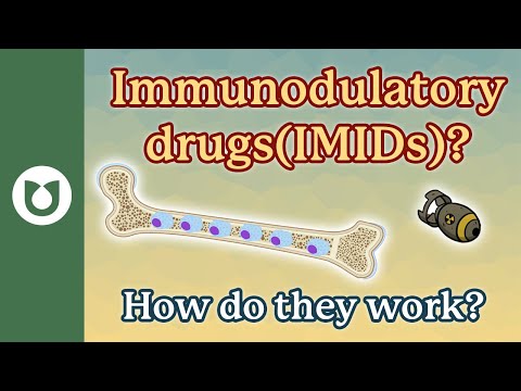 Classes of Drugs: What are immunomodulatory drugs (IMiDs) and how do ...