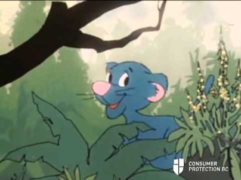 The restricted cat came back – DarrenBarefoot.com