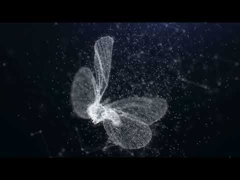 Butterfly Hologram 4K Live Wallpaper | Relaxing Infinite Loop for Sleep, Eyes & Stress Relief 1 hour