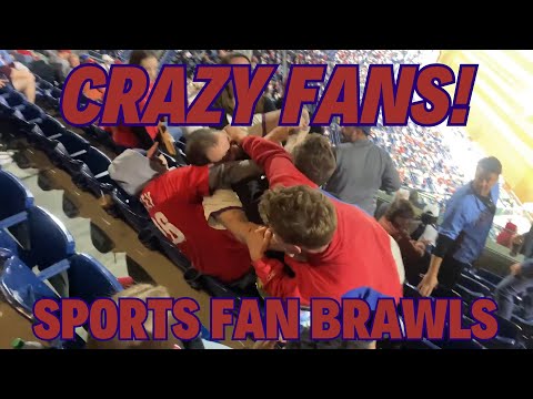 Crazy Fans In The Stands I Sports Fan Brawls & Fights Compilation 1
