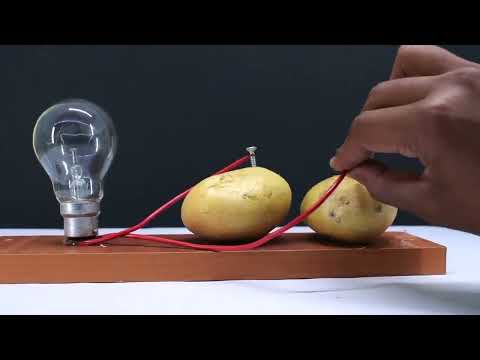 Free Energy Light Bulbs 220v using Potato(read description)