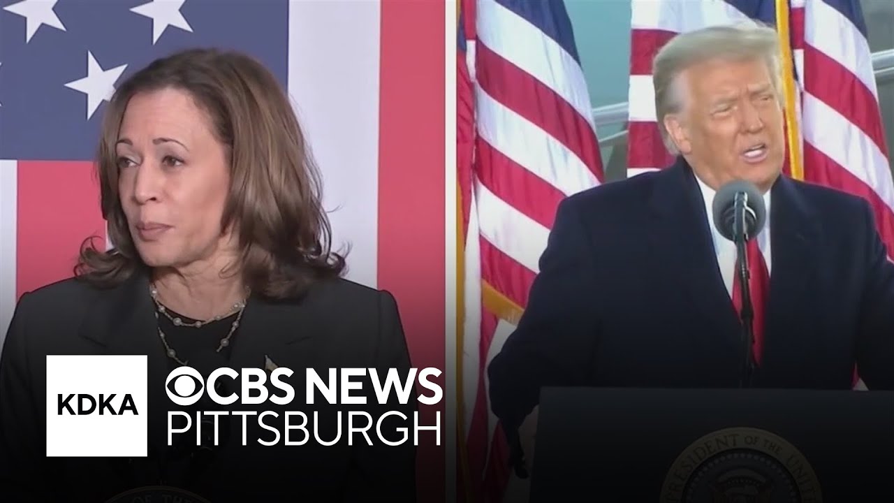 How to cope with election-related stress and anxiety