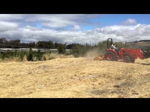 Vallejo Ca. Weed abatement