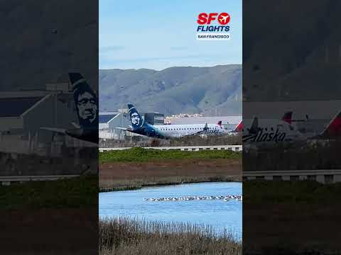 ✈️ Airline: Alaska Airlines 🇺🇸📍Location : San Francisco International Airport