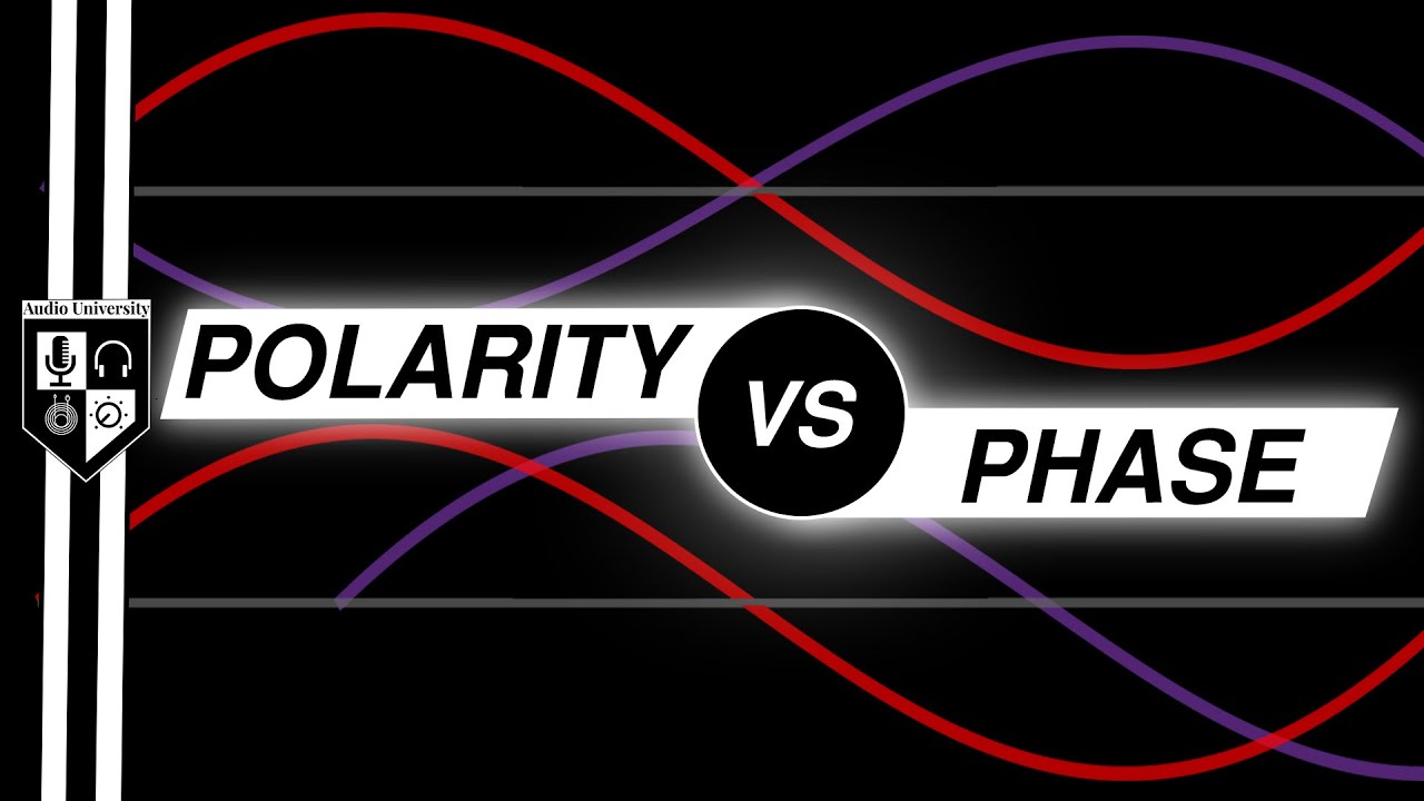 POLARITY vs PHASE: What's the Difference?