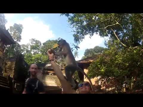 Steam Community :: Video :: BALI