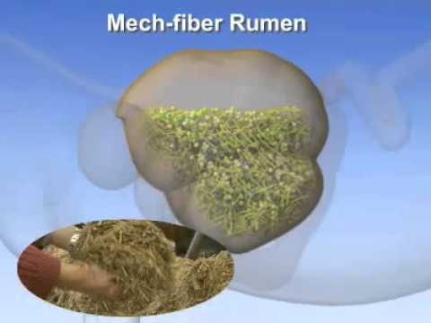 The effect of the Keenan Mech fiber mix in the rumen