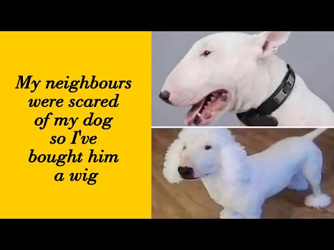 50 Hilarious Dog Memes From a Facebook Page That Totally Gets Pet Parents