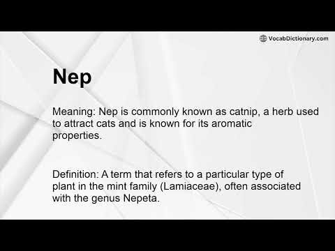 Nep Meaning