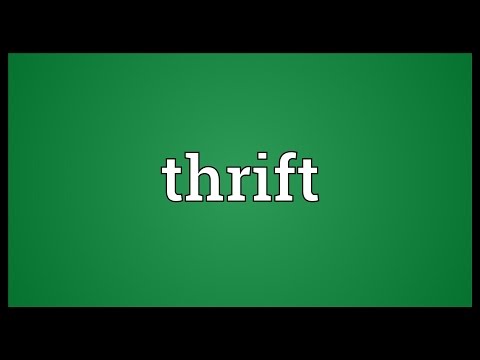 Thrift Meaning