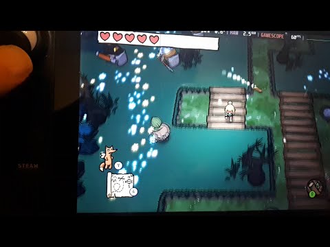Steam Community :: Video :: Ittle Dew 2 [Steam Deck]