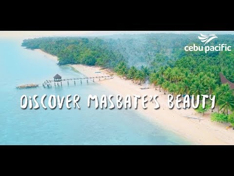 2019 Masbate congressmen, governor, vice governor, board members ...