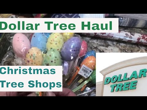 Live Dollar Tree and Christmas Tree Shops Haul