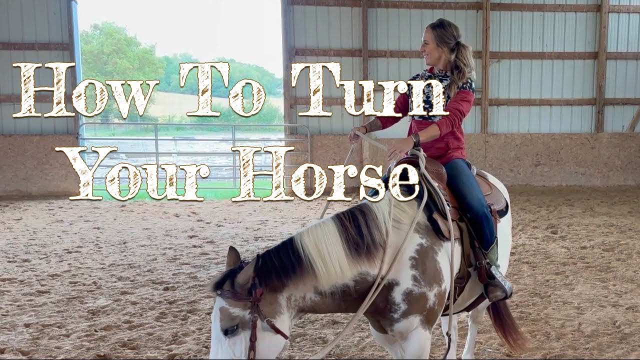 Lesson 3: How To Turn Your Horse