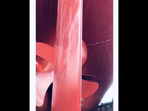Ship Rudder and Propeller Out of Water.