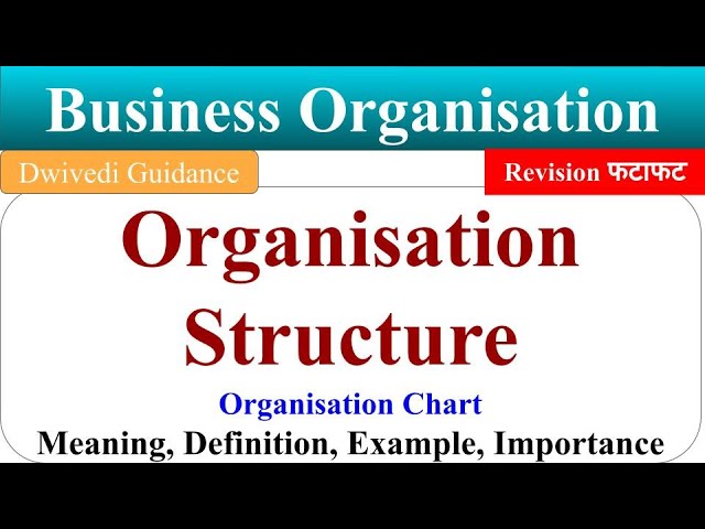 Understanding Organizational Structure A Comprehensive Guide Galaxy Ai