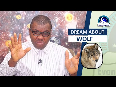 DREAM ABOUT WOLF - Biblical Meaning of Wolves Dream